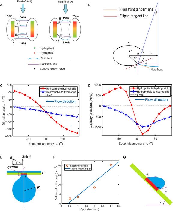 Mechanism of directional water [IMAGE] | EurekAlert! Science News Releases