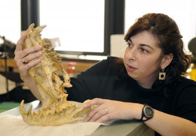 Jessica Theodor, University of [IMAGE] | EurekAlert! Science News Releases