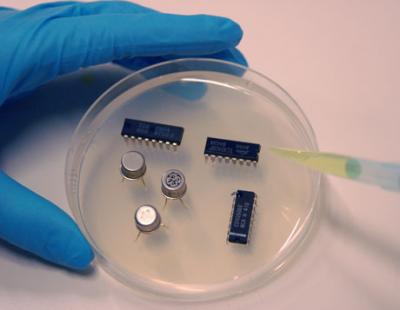 Researchers open the door to biological compu | EurekAlert!