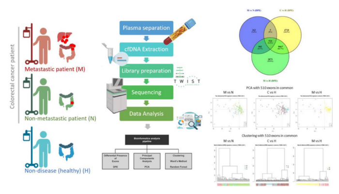 New method of clustering colorectal cancer pa | EurekAlert!