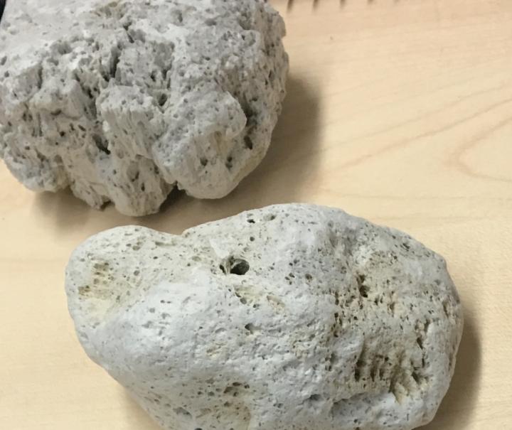 Pumice Stones [IMAGE] | EurekAlert! Science News Releases