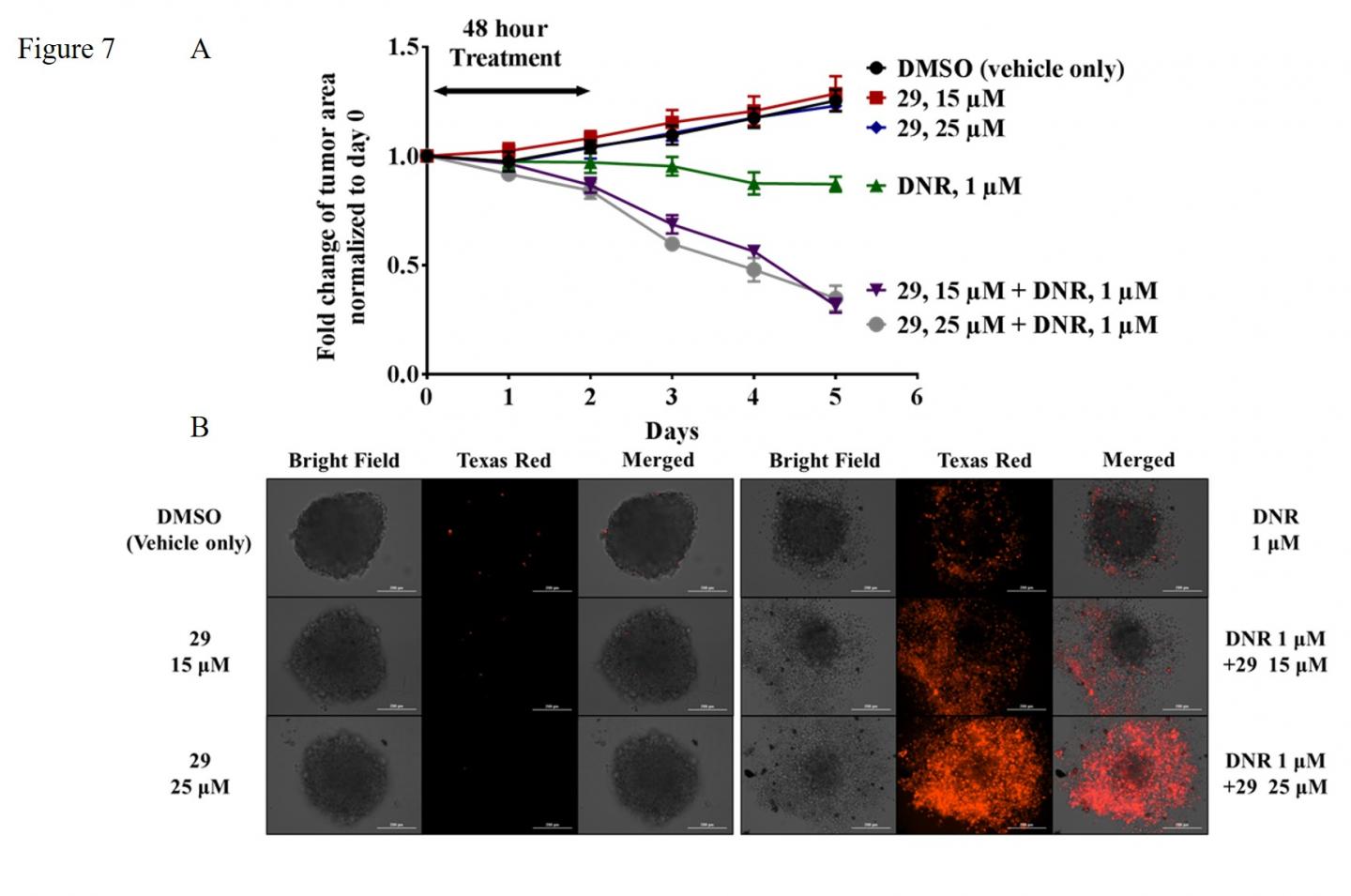 Advanced Cancer Cells Die afte [IMAGE] | EurekAlert! Science News Releases
