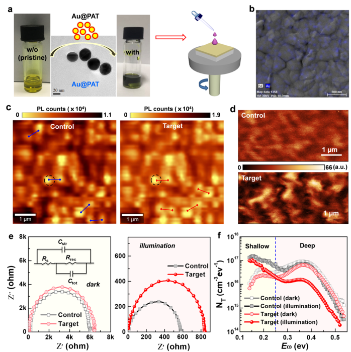 Plasmon-induced trap filling at grain boundar | EurekAlert!