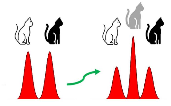 Schrödinger cat state [IMAGE] | EurekAlert! Science News Releases
