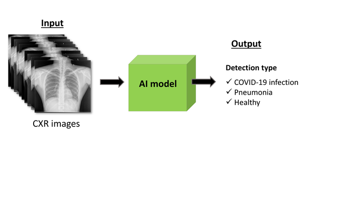 Detecting COVID-19 by analyzing lung images u | EurekAlert!