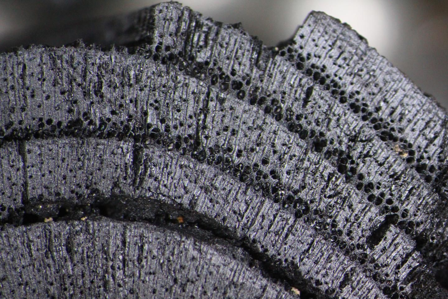 Microscope image of Early Bron [IMAGE] | EurekAlert! Science News Releases