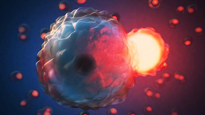 Study finds widespread ‘cell cannibalism,’ re | EurekAlert!