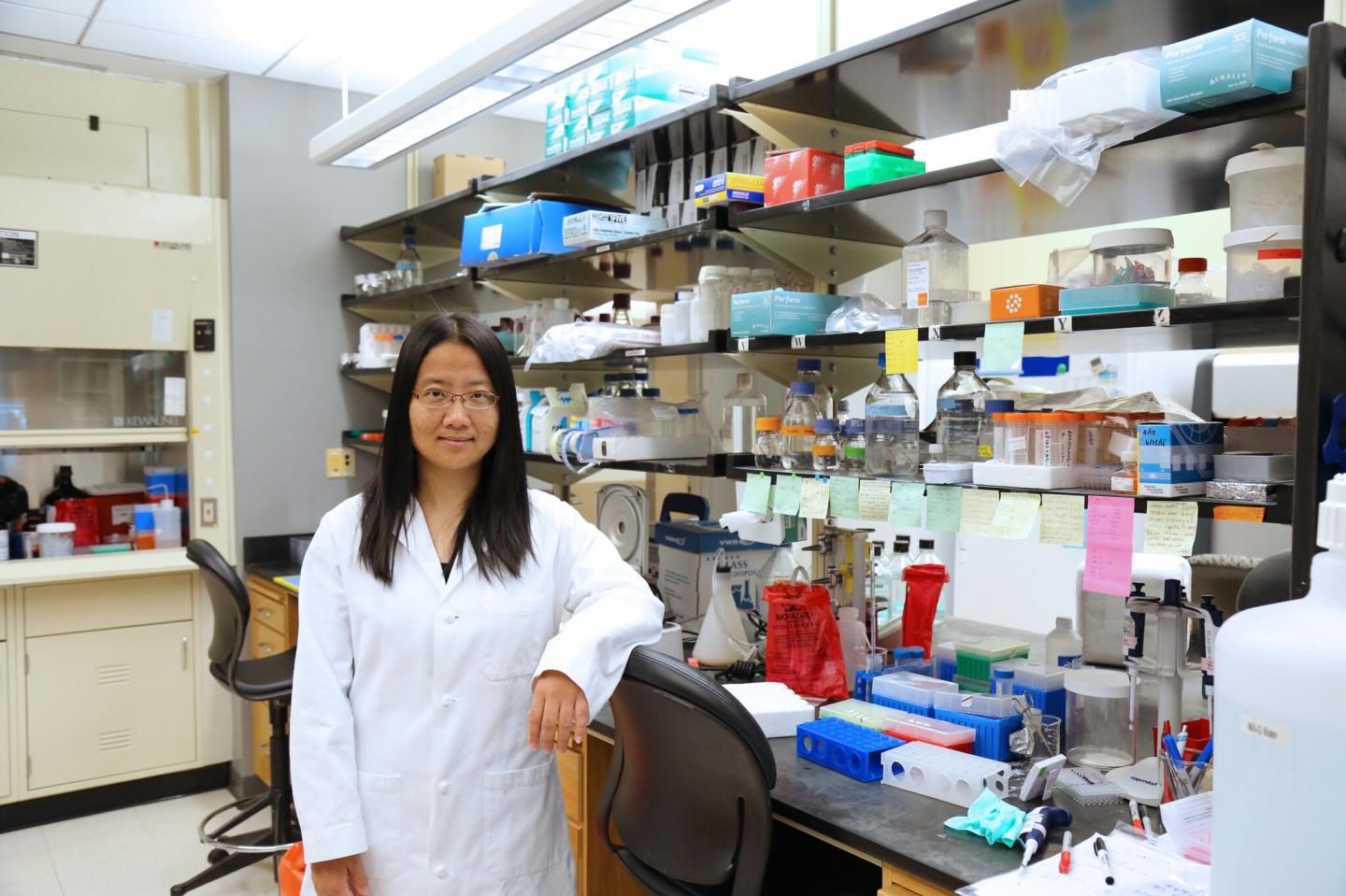 UNC scientist receives global award for stem | EurekAlert!