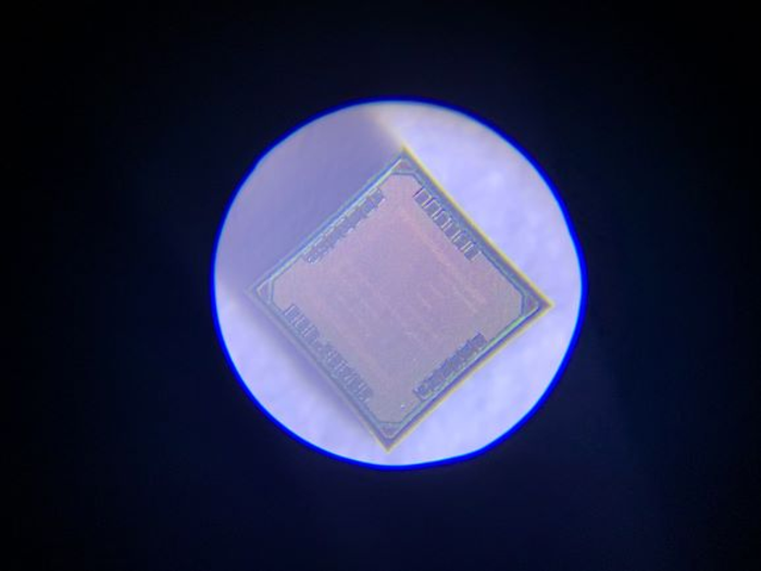 chip_sct_TalTech.jpg [IMAGE] | EurekAlert! Science News Releases