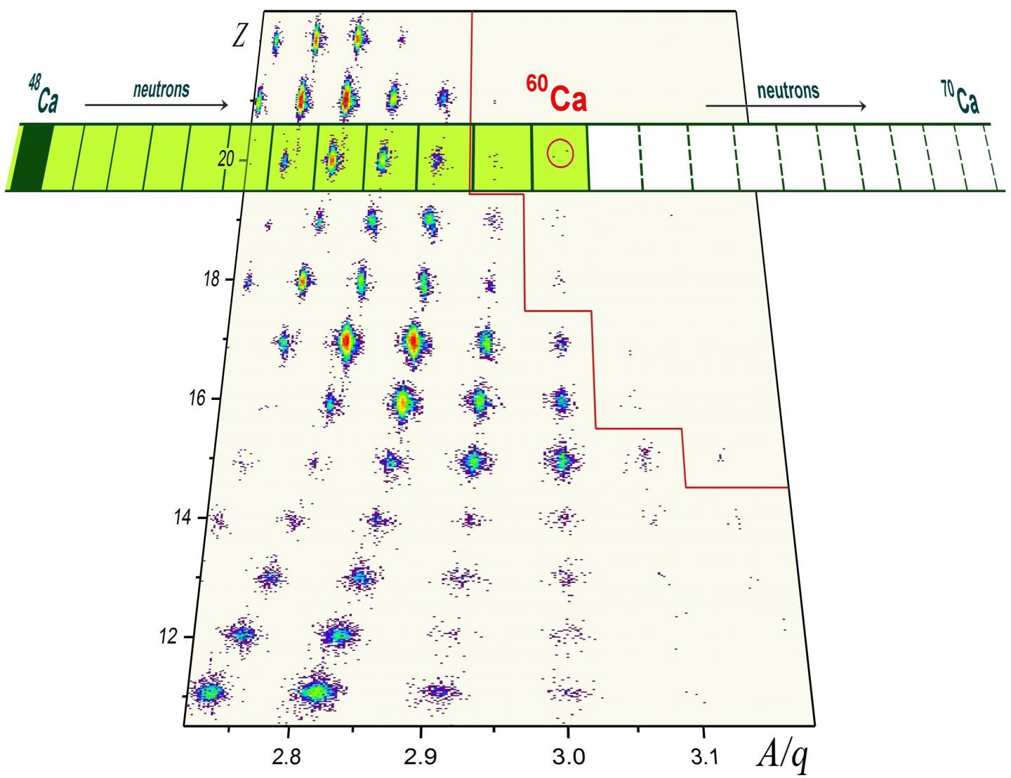 Calcium-60-Graphic [IMAGE] | EurekAlert! Science News Releases
