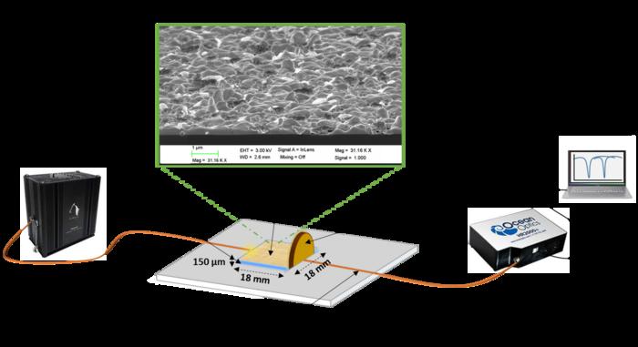 Generation of Lossy mode resonances (LMR) usi | EurekAlert!