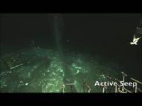 Flowing electrons help ocean microbes gulp me | EurekAlert!