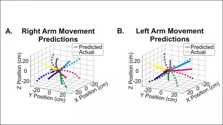 Right/Left Movement Prediction [IMAGE] | EurekAlert! Science News Releases