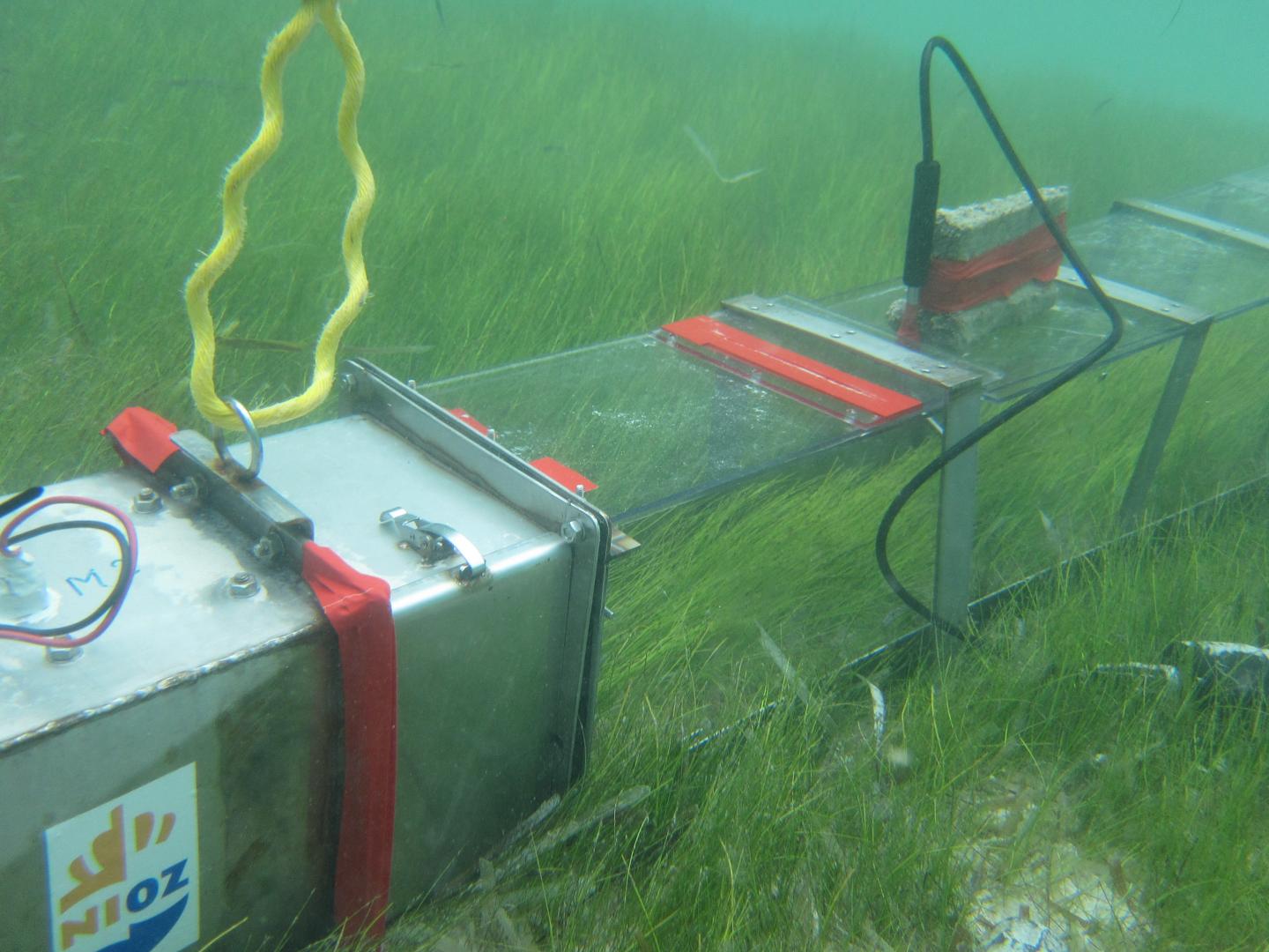 Field Flume [IMAGE] | EurekAlert! Science News Releases