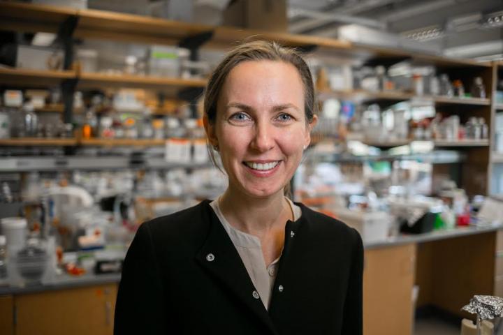 Katharina Ribbeck, Massachuset [IMAGE] | EurekAlert! Science News Releases