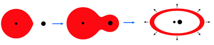 An illustration of common enve [IMAGE] | EurekAlert! Science News Releases