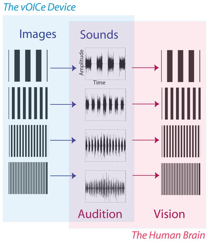 vOICe Encoding Ven Diagram [IMAGE] | EurekAlert! Science News Releases