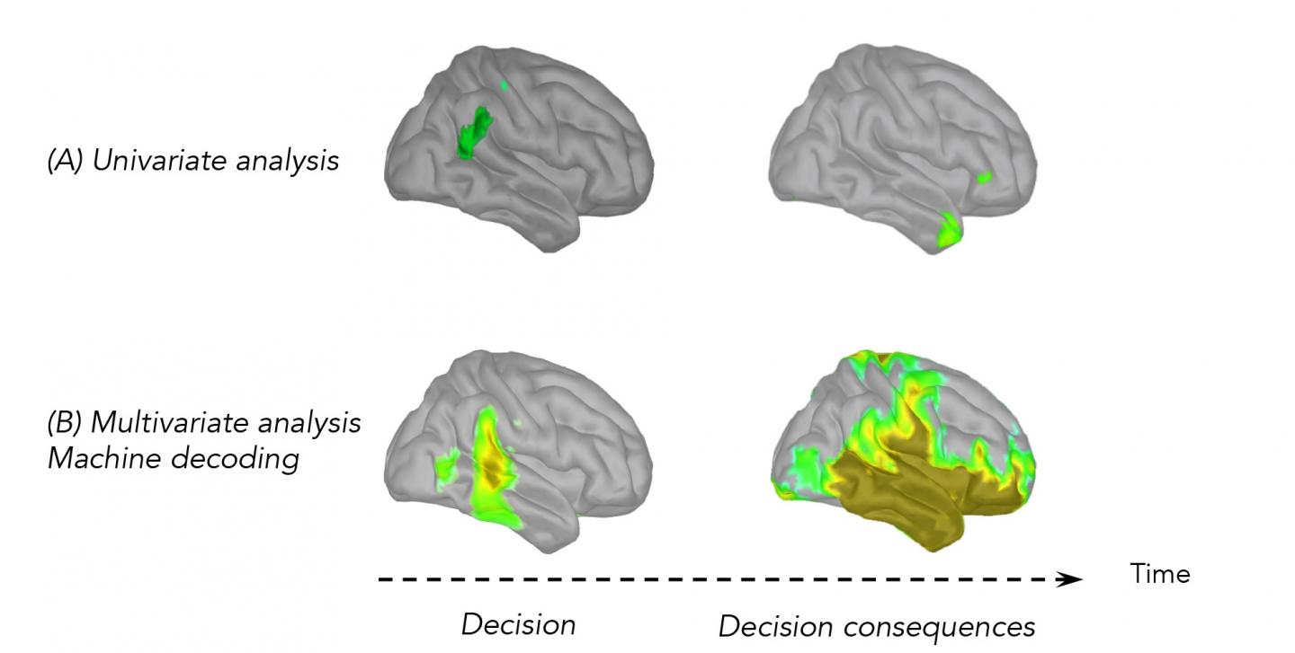 BA ou DA ? Décoder les syllabes pour montrer | EurekAlert!