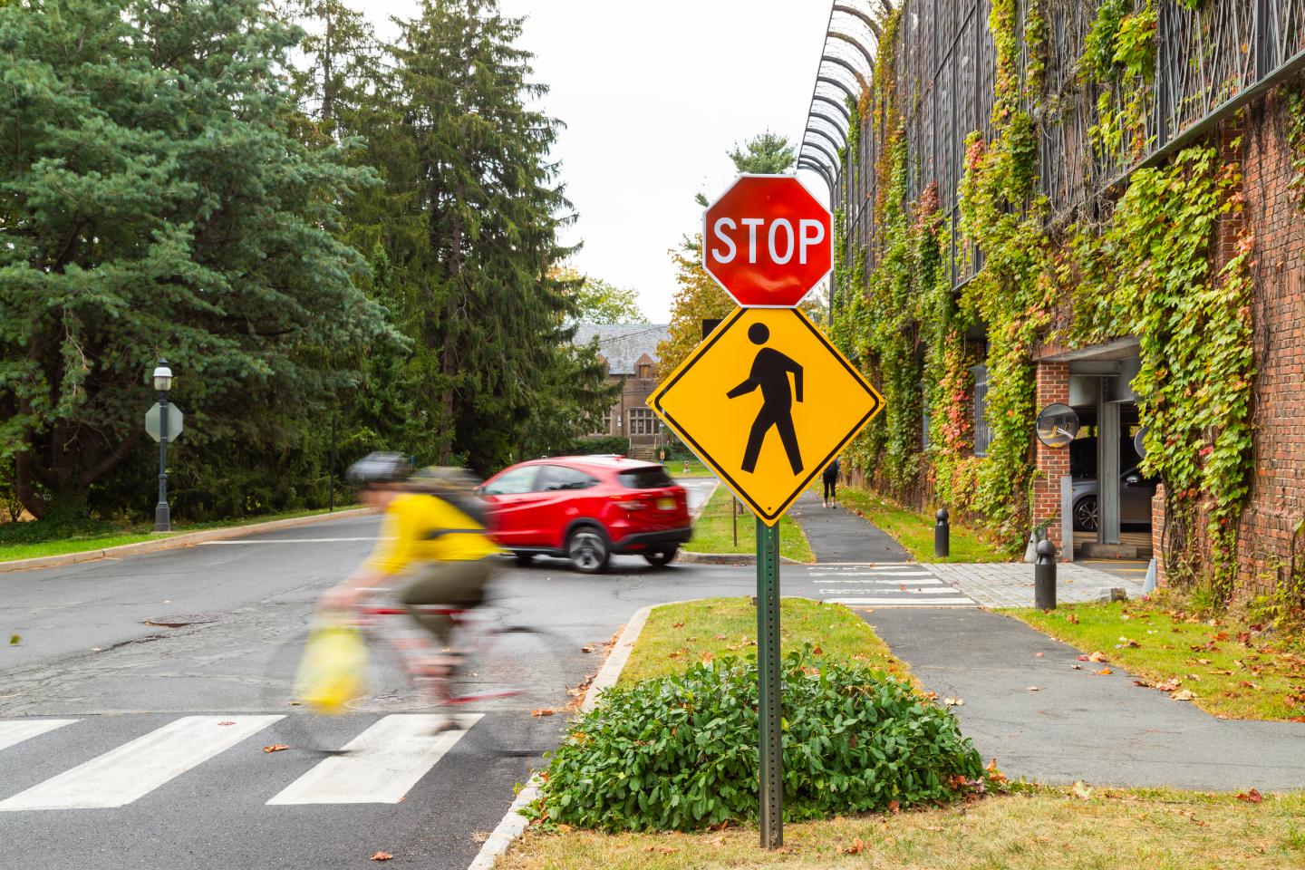 Hidden Marks Change a Sign's M [IMAGE] | EurekAlert! Science News Releases