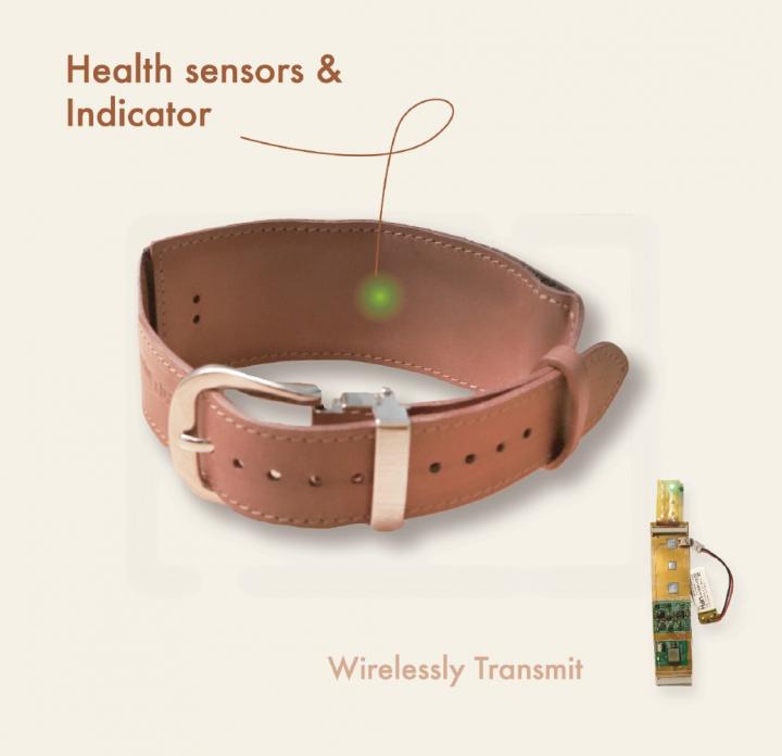 Wearable Necklace [IMAGE] | EurekAlert! Science News Releases