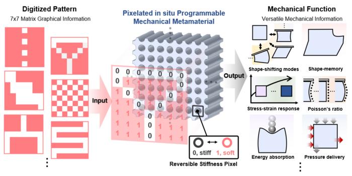 Concept and mechanism of PPMM [IMAGE] | EurekAlert! Science News Releases