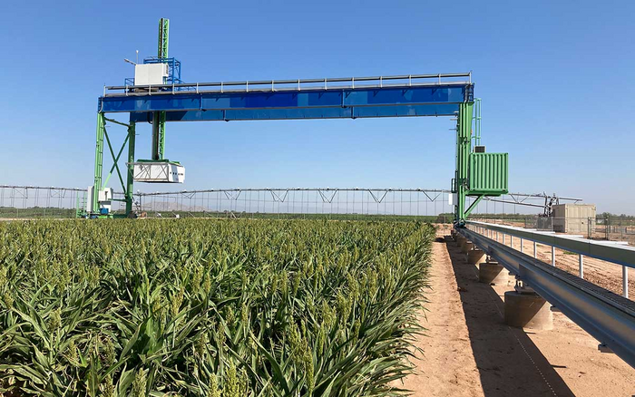 Gantry Sorghum Field Site [IMAGE] | EurekAlert! Science News Releases