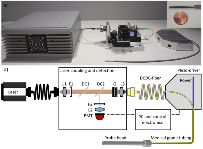 German scientists develop multimodal fiber pr | EurekAlert!