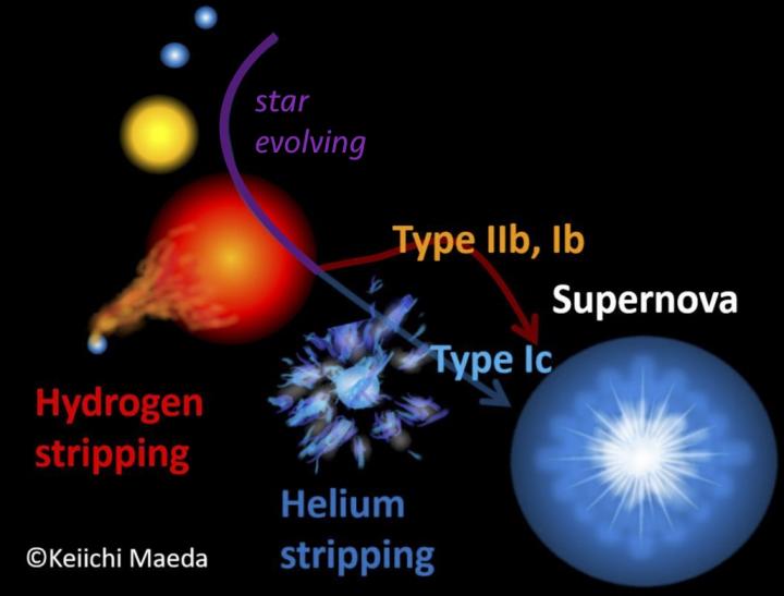 Supernova [IMAGE] | EurekAlert! Science News Releases