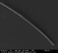 Aboriginal Australian Genome Sequenced (6 of | EurekAlert!