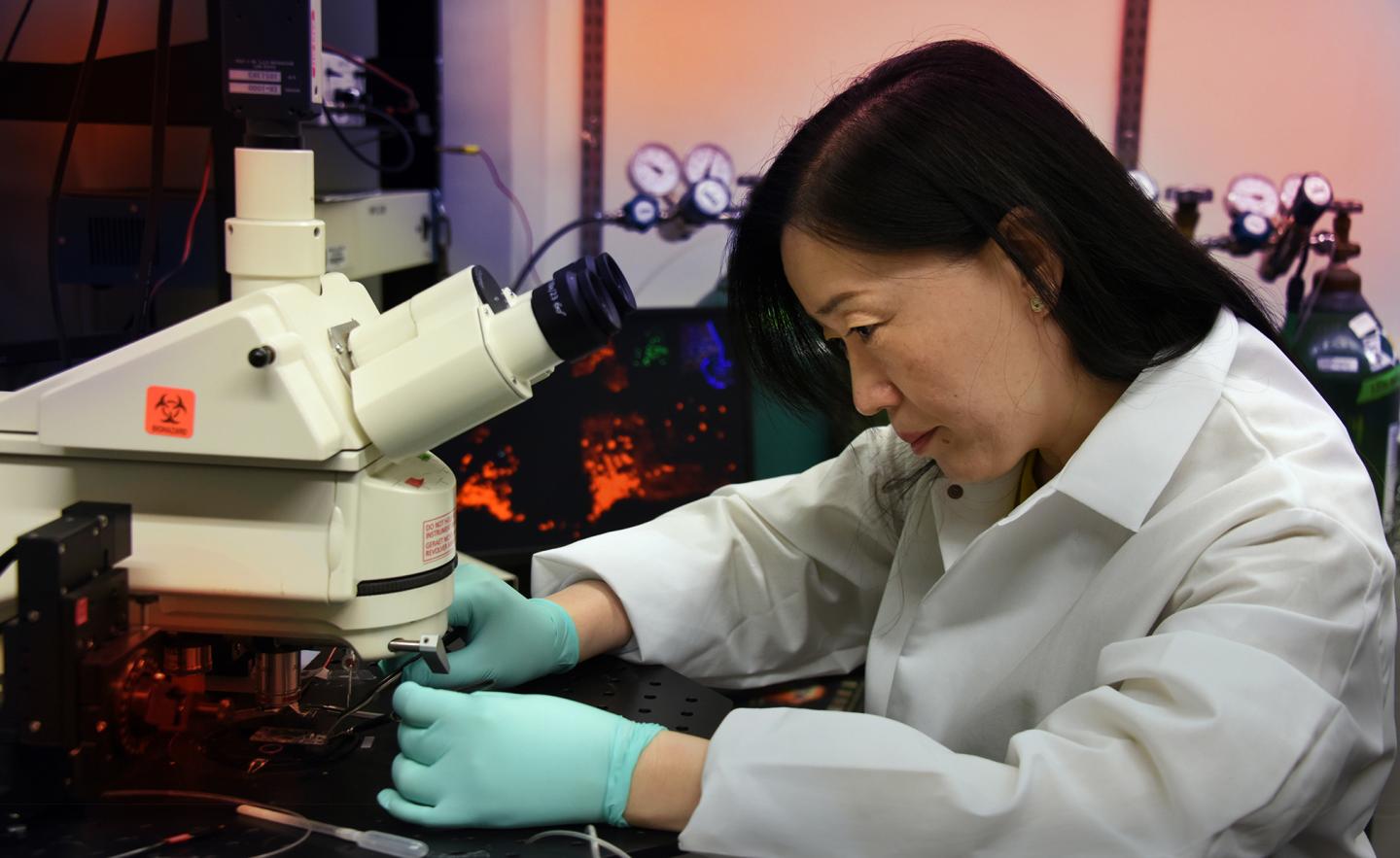 Dr. Xin-Yun Lu [IMAGE] | EurekAlert! Science News Releases