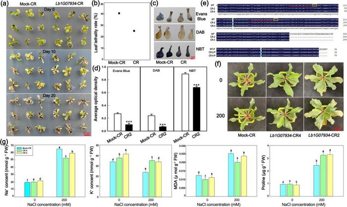 Growth status and indicators o [IMAGE] | EurekAlert! Science News Releases
