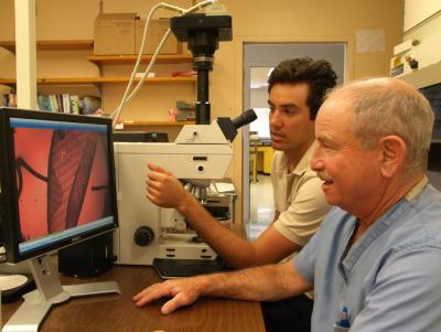 Steven Goldman and Jordan Lanc [IMAGE] | EurekAlert! Science News Releases