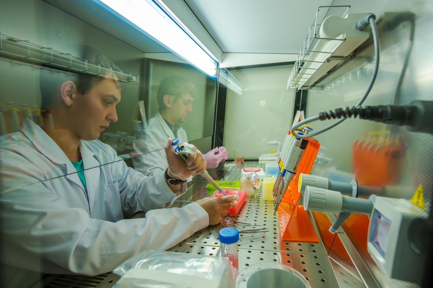 FEFU School of biomedicine lab [IMAGE] | EurekAlert! Science News Releases