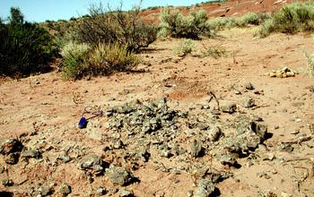 Titanosaur Egg Fossils [IMAGE] | EurekAlert! Science News Releases