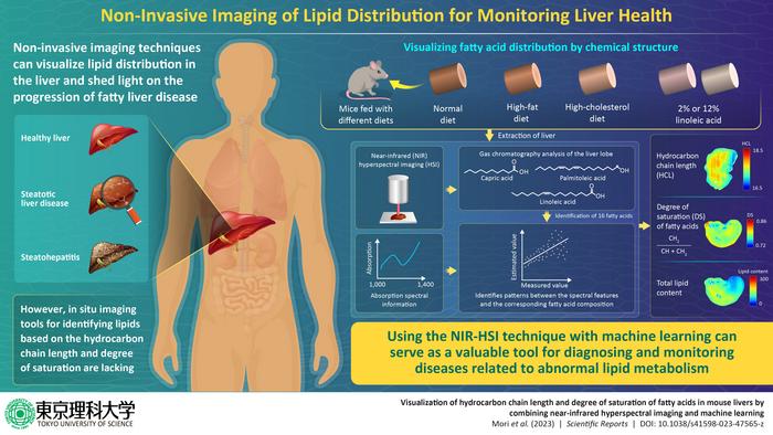 Label-free visualization of fa [IMAGE] | EurekAlert! Science News Releases