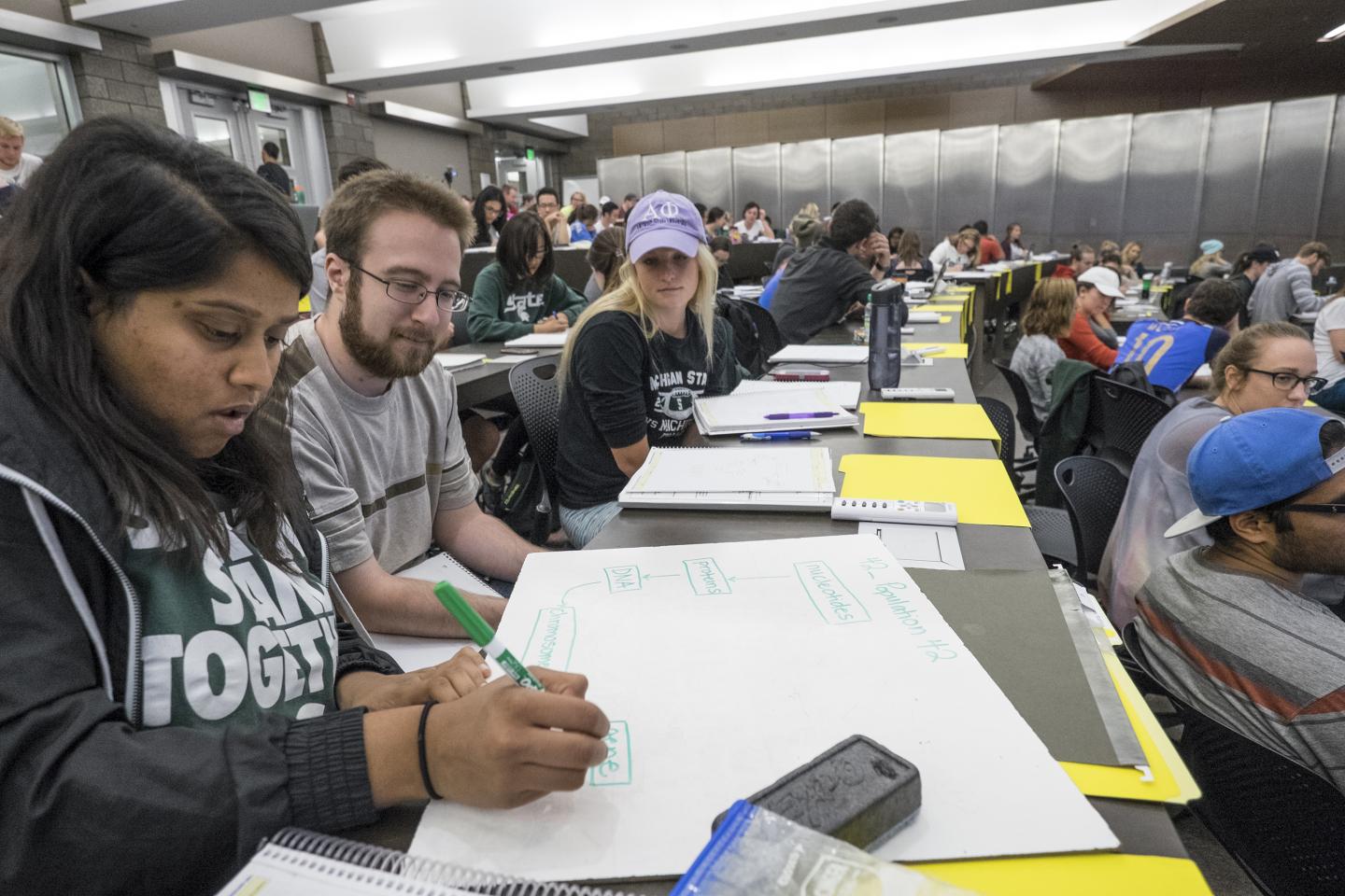 Assessing Faculty Professional Development in | EurekAlert!