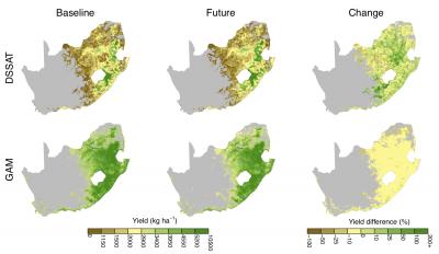 Maize Model [IMAGE] | EurekAlert! Science News Releases