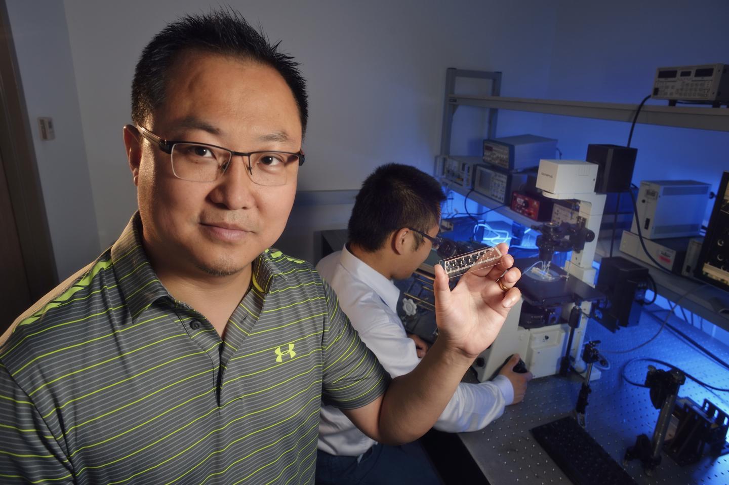 Chang Lu and Zhenning Cao, Vir [IMAGE] | EurekAlert! Science News Releases