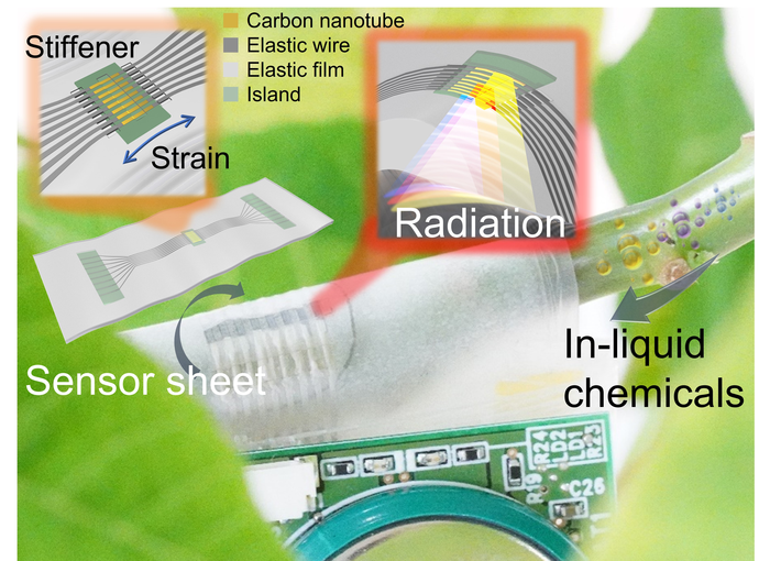 Fig.1 [IMAGE] | EurekAlert! Science News Releases