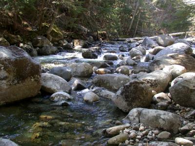 Hubbard Brook Experimental For [IMAGE] | EurekAlert! Science News Releases