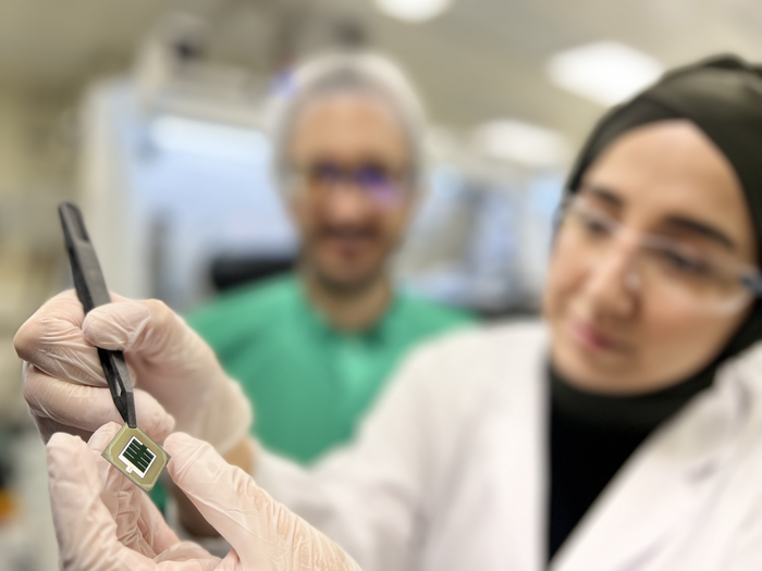 KAUST team sets world record for tandem solar | EurekAlert!