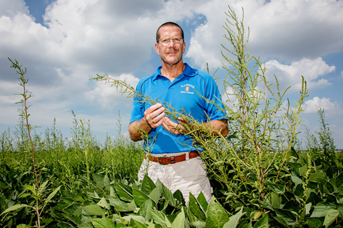 Aaron Hager with waterhemp [IMAGE] | EurekAlert! Science News Releases