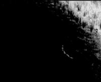 Infrared imaging leaves invasive pythons nowh | EurekAlert!