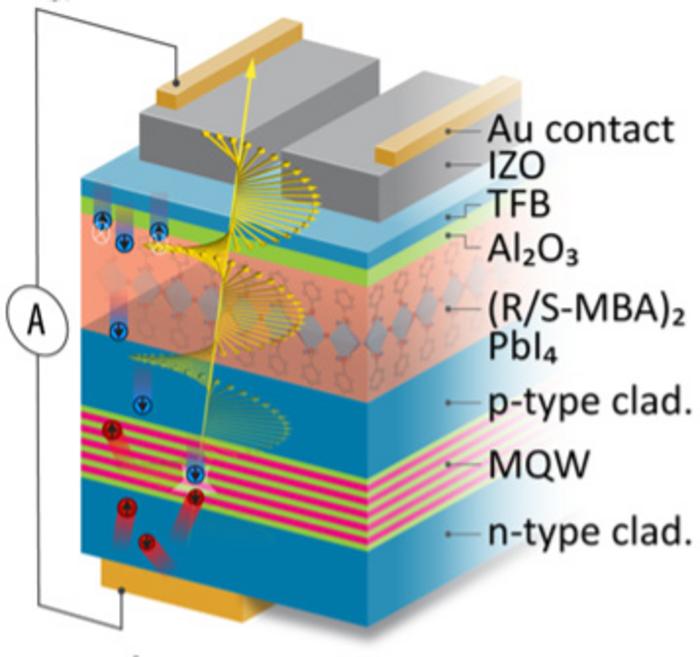 ‘Miracle’ filter turns store-bought LEDs into | EurekAlert!