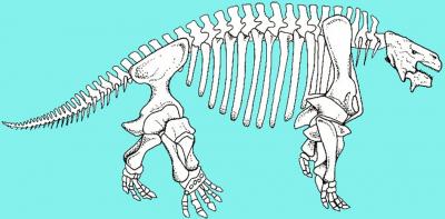Scutosaurus [IMAGE] | EurekAlert! Science News Releases