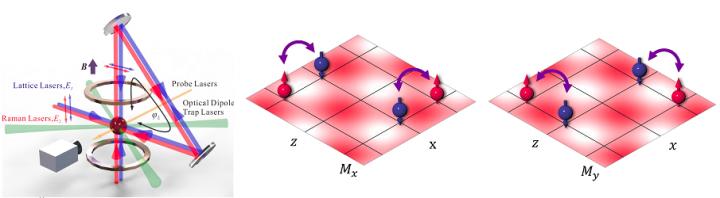 Two-dimensional spin-orbit coupling for Bose- | EurekAlert!