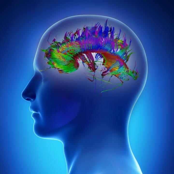 Advanced techniques at the Ort [IMAGE] | EurekAlert! Science News Releases