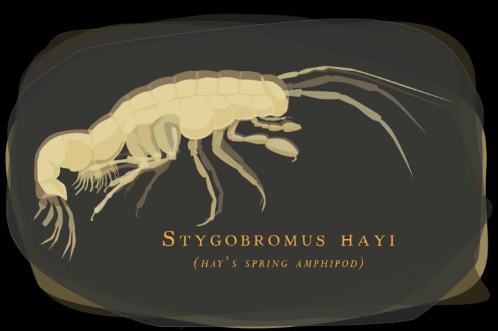 Researchers sample a DC swamp to study a spin | EurekAlert!