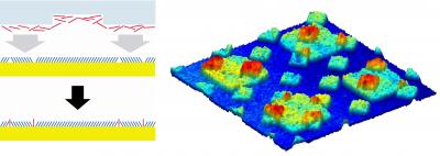 Microprinting technique for patterning single | EurekAlert!