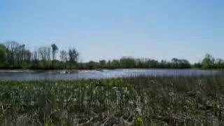Marshes and Sea Level Rise | EurekAlert!